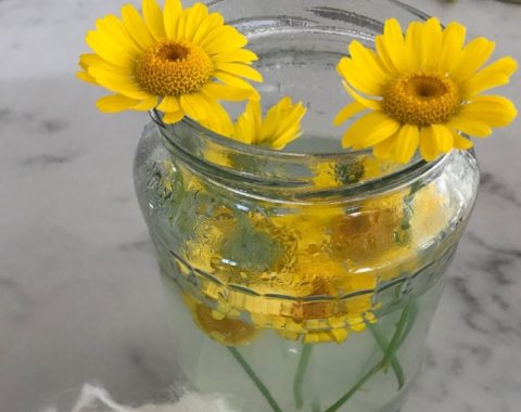 The Beginners Guide to Solar Dyeing - La creative mama