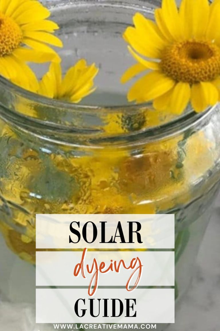 The Beginners Guide to Solar Dyeing - La creative mama