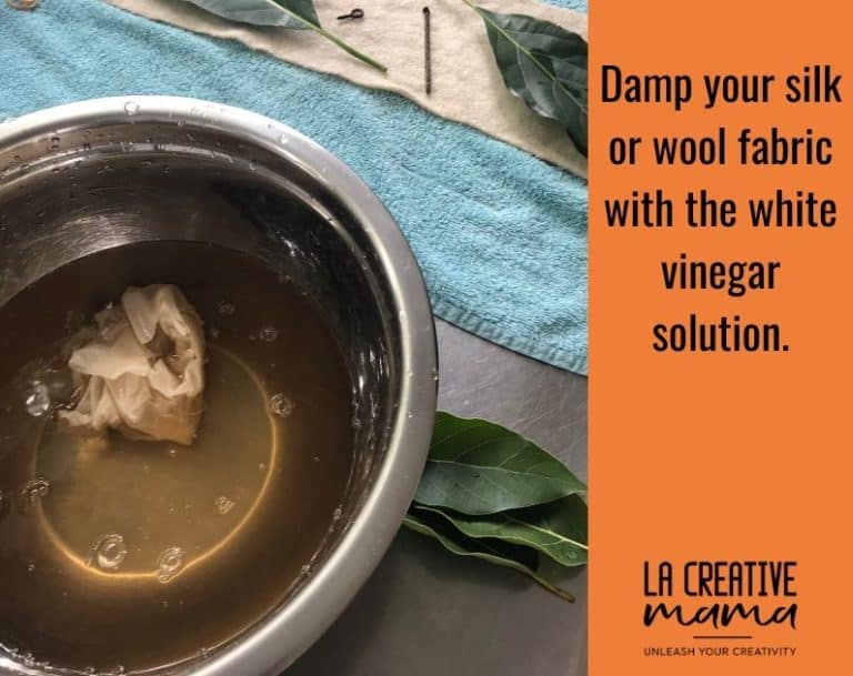 What Is a Mordant? Complete Guide for Natural Dyeing