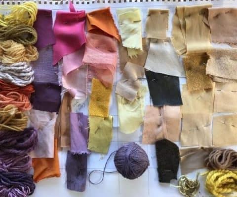 List of Natural Dyes: 44 Plants & Barks for Fabric & Yarn