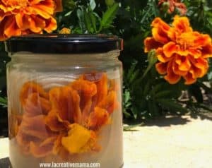 The Beginners Guide to Solar Dyeing - La creative mama