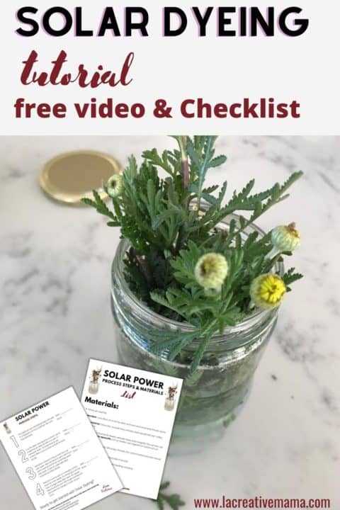 The Beginners Guide to Solar Dyeing - La creative mama