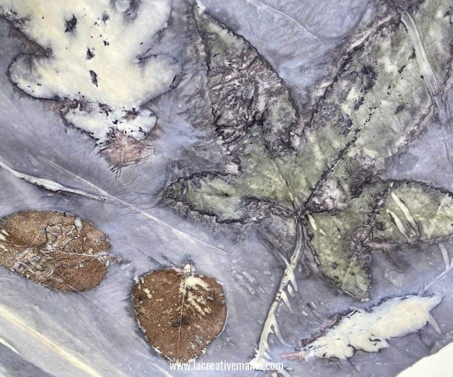 Eco Printing on Fabric: Beginners Guide - La creative mama
