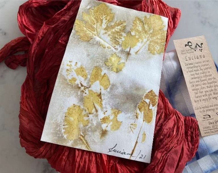 Eco printing on paper: A Beginners Guide - La creative mama