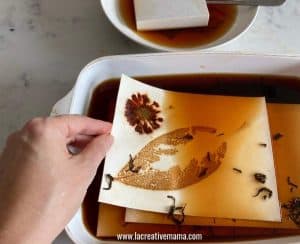 How to dye paper with tea - La creative mama