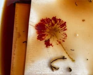 How to dye paper with tea - La creative mama