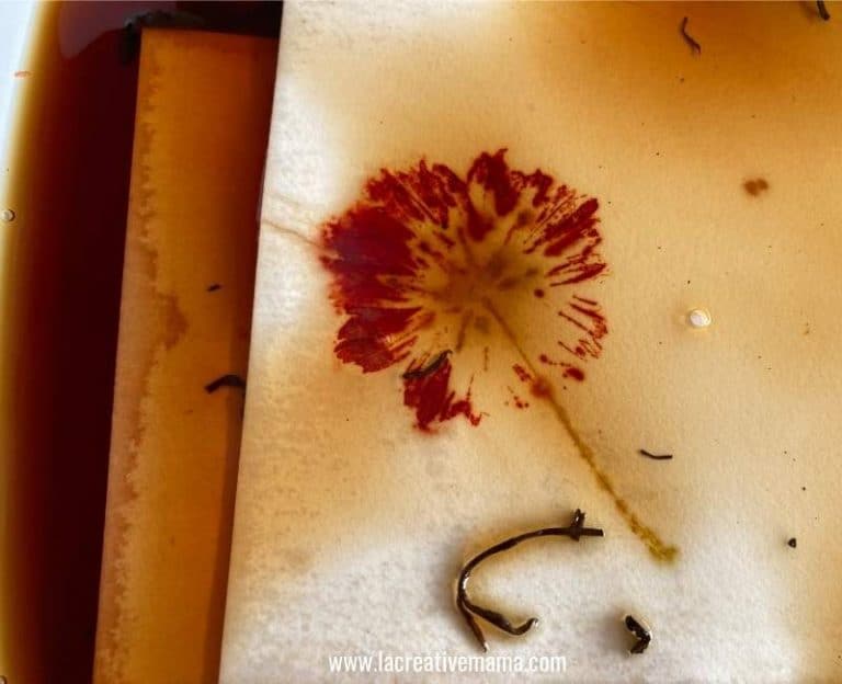 How to dye paper with tea - La creative mama