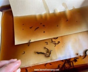 How to dye paper with tea - La creative mama