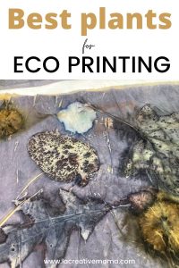 Best plants for Eco Printing (on fabric and paper) - La creative mama