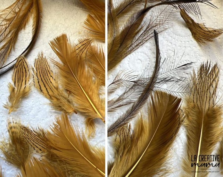 How to dye feathers with natural dyes - La creative mama
