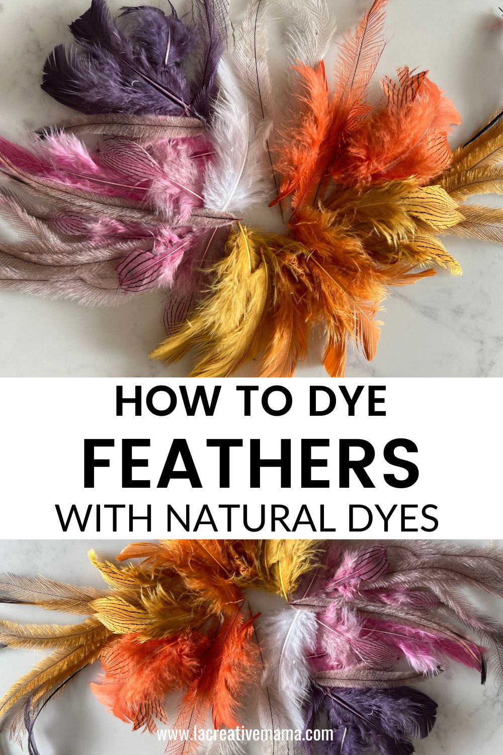 How to dye feathers with natural dyes - La creative mama